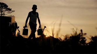 FILME DE JOAQUIM PINTO EXIBIDO EM NOVA IORQUE | e-cultura