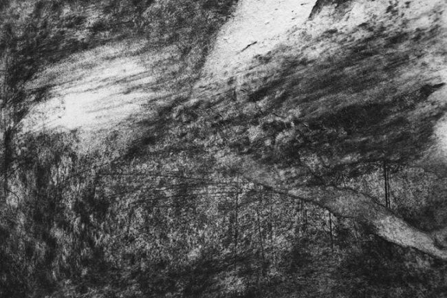 Exposição A Sombra do Vento de Leonor Neves | e-cultura