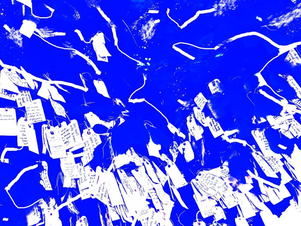 Convocatória Introdução ao projeto Jardim Azul | e-cultura