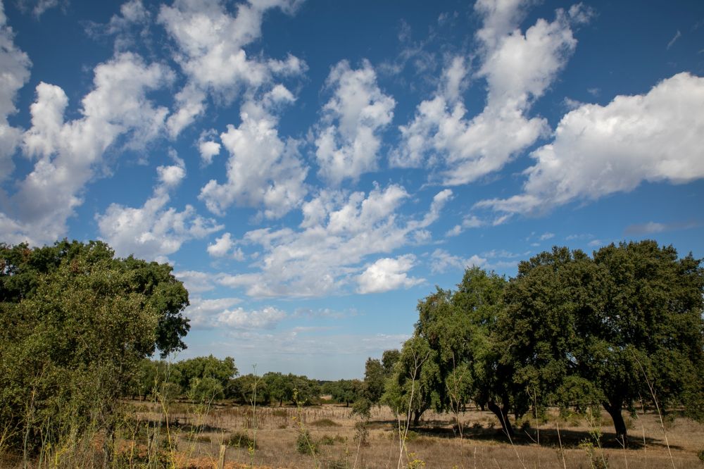 Cabrela: Um Sítio Classificado a Descobrir no concelho de Montemor-o ...