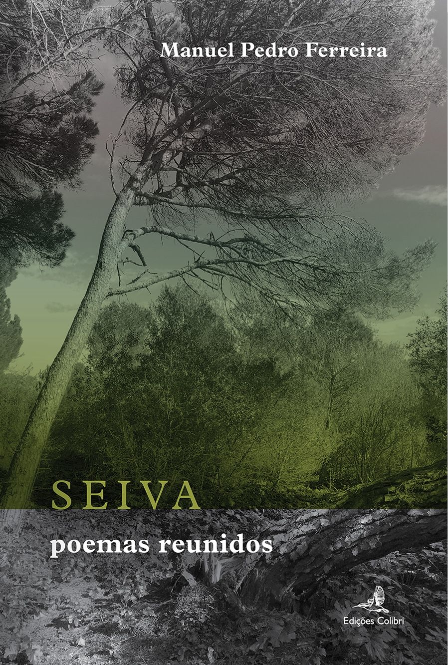 Lançamento do livro Seiva - poemas reunidos de Manuel Pedro Ferreira ...